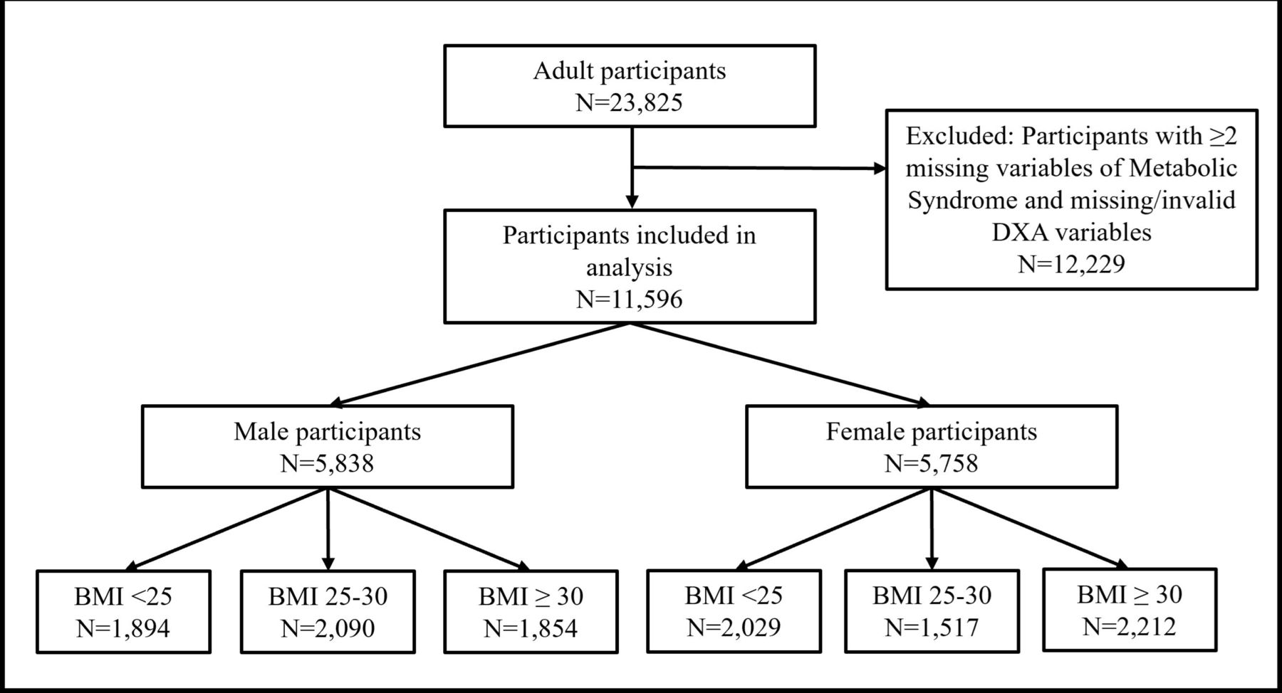 Differences in fat distribution between metabolically unhealthy people ...