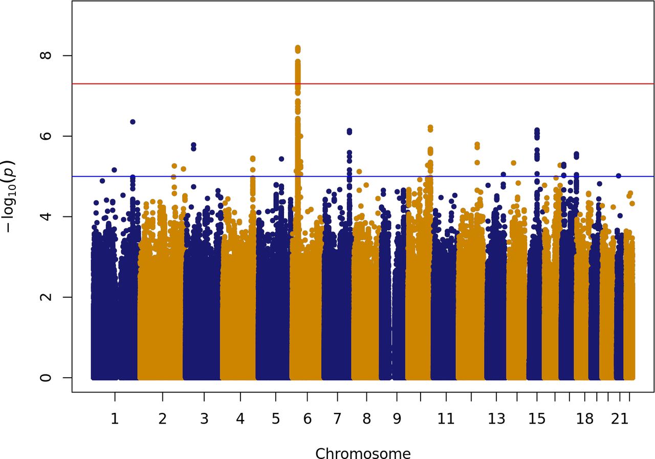 Association of genetic variation with age at diagnosis in type 1 ...