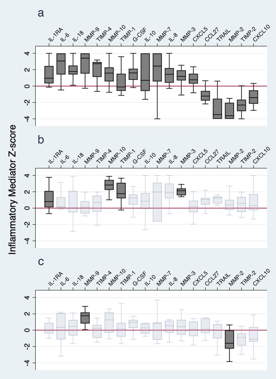 Inflammatory profile of diabetic ketoacidosis in children with type 1 ...